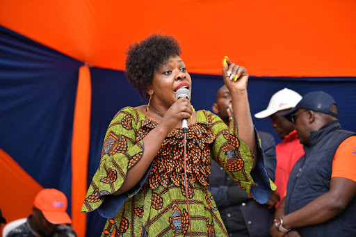 MUTHONI OUKO: New varsity funding model is flawed