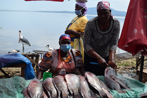 Stop bad fishing practices to avert fish shortage, Homa Bay residents told