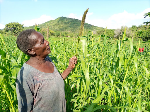 OCHIENG: Farming key to reducing high cost of living