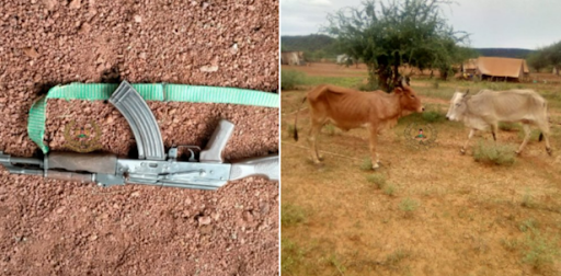 Suspected bandit arrested, gun and cows recovered in Tiaty