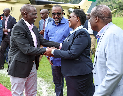 Meru will not participate in demos, Mwangaza assures Ruto