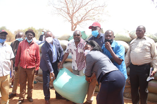 Must pupils faint in class to get food in Mwingi North?