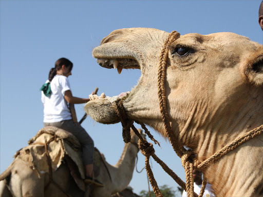 KTB seeks to tap into cultural events to grow tourism