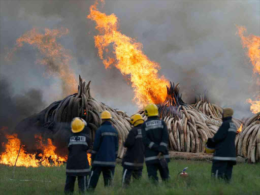 Why US-Kenya cooperation on ivory, drug trafficking matters