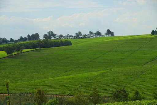 We're working on having license suspension lifted - James Finlay