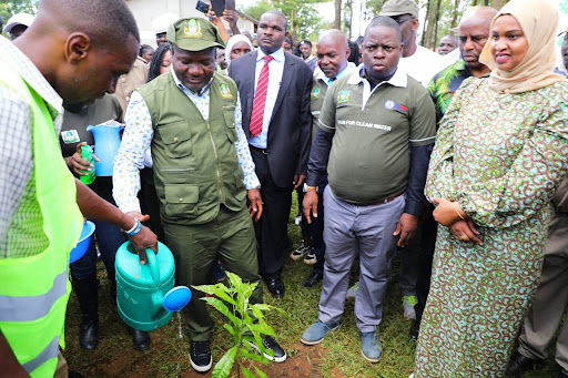 Kakamega to plant five million trees yearly, says Governor Barasa