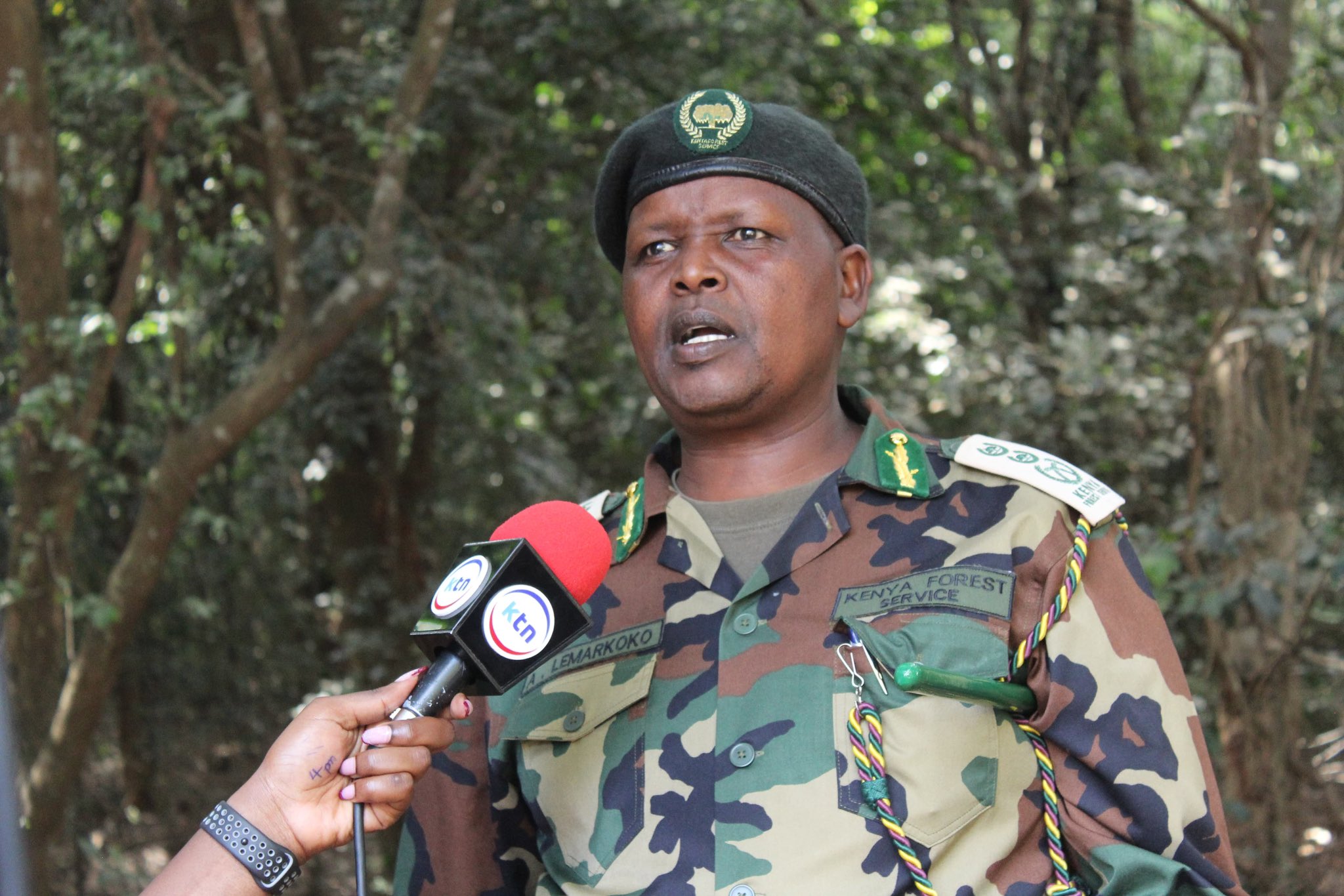 The KFS's Side of the Story: Tarmacking in Karura Forest Explained