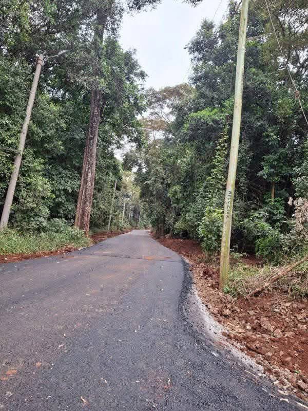 The KFS's Side of the Story: Tarmacking in Karura Forest Explained