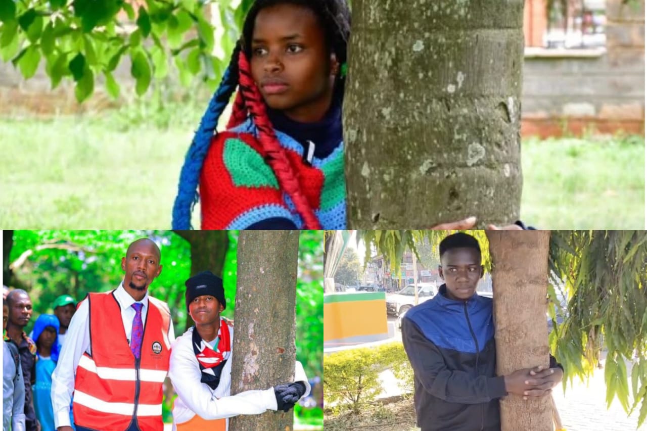 Tree-hugging craze: From Muthoni’s 72-hour feat to new challenges with ...