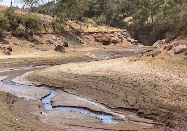 Brace for sunny, dry conditions – Weatherman